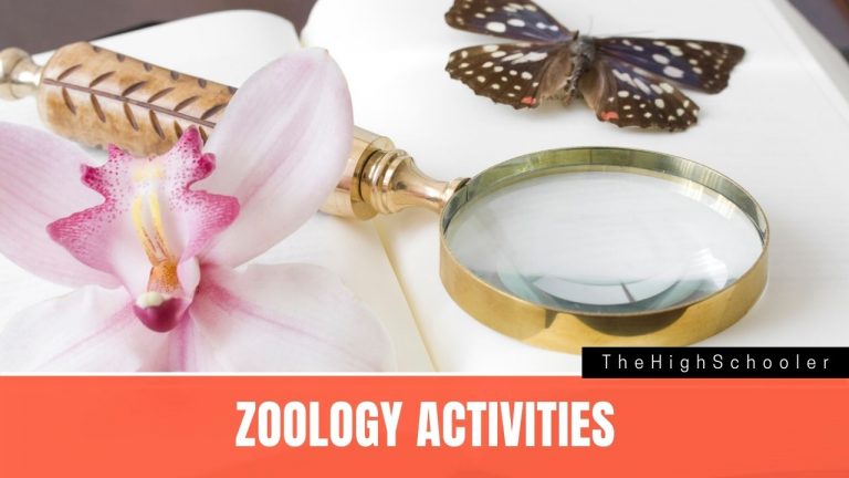 5 Engaging Zoology Activities For High School Students - TheHighSchooler