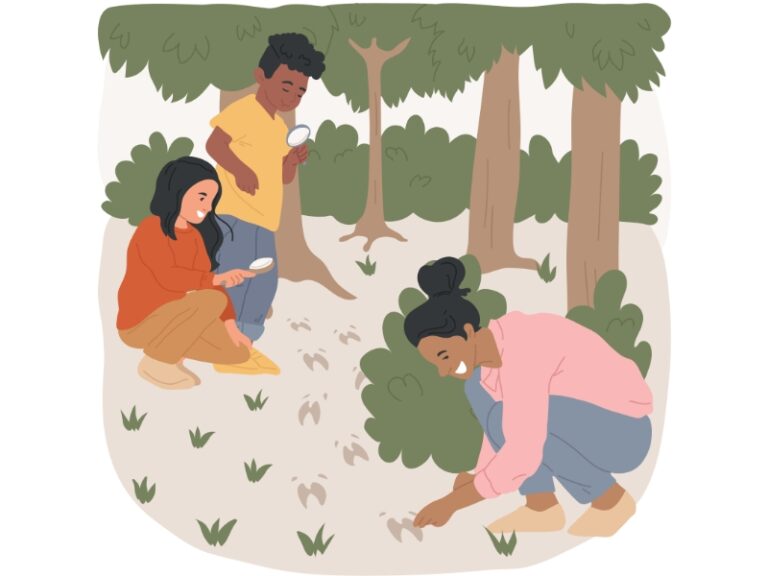 7 Fun Mystery Activities For High Schoolers - TheHighSchooler