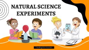 7 Natural Science Experiments For High School Students To Try ...