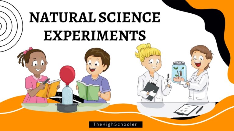 7 Natural Science Experiments For High School Students To Try TheHighSchooler