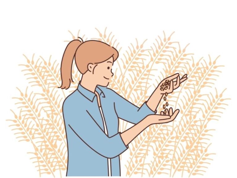 10 Agriculture Activities For High School Students - TheHighSchooler