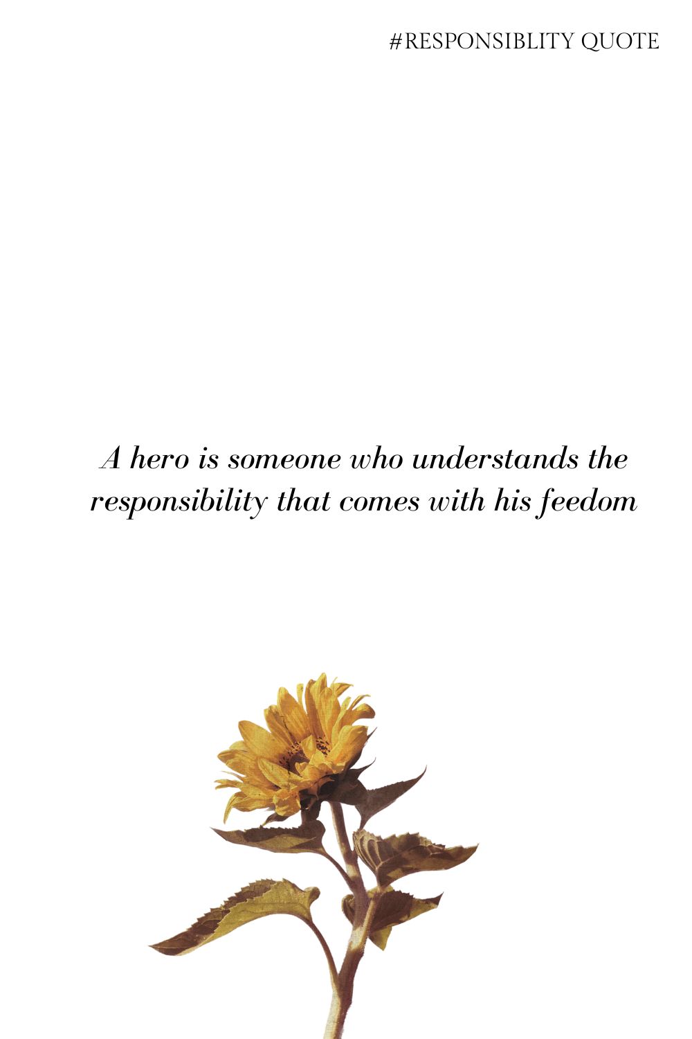 50 Responsibility Quotes For Students - TheHighSchooler