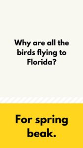 50 Hilarious Spring Jokes For Teens - TheHighSchooler