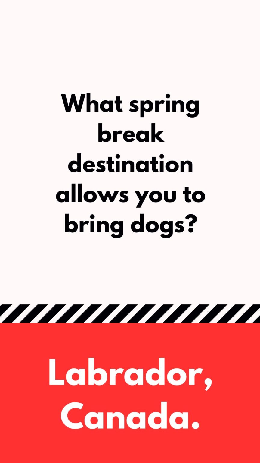 50 Hilarious Spring Jokes For Teens - TheHighSchooler