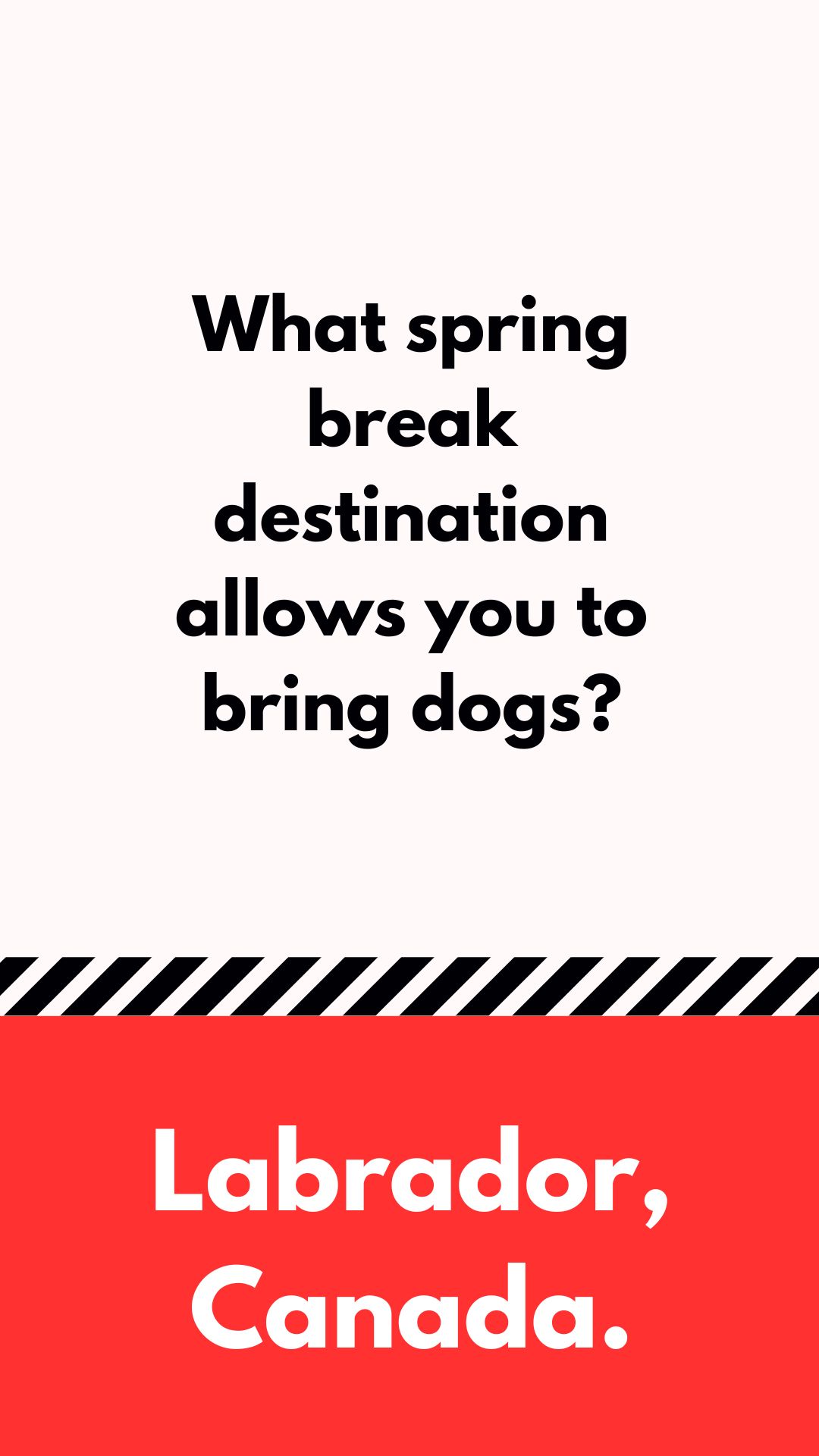 50 Hilarious Spring Jokes For Teens - TheHighSchooler