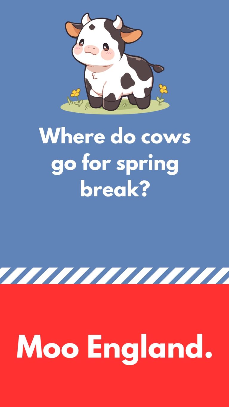 50 Hilarious Spring Jokes For Teens - TheHighSchooler