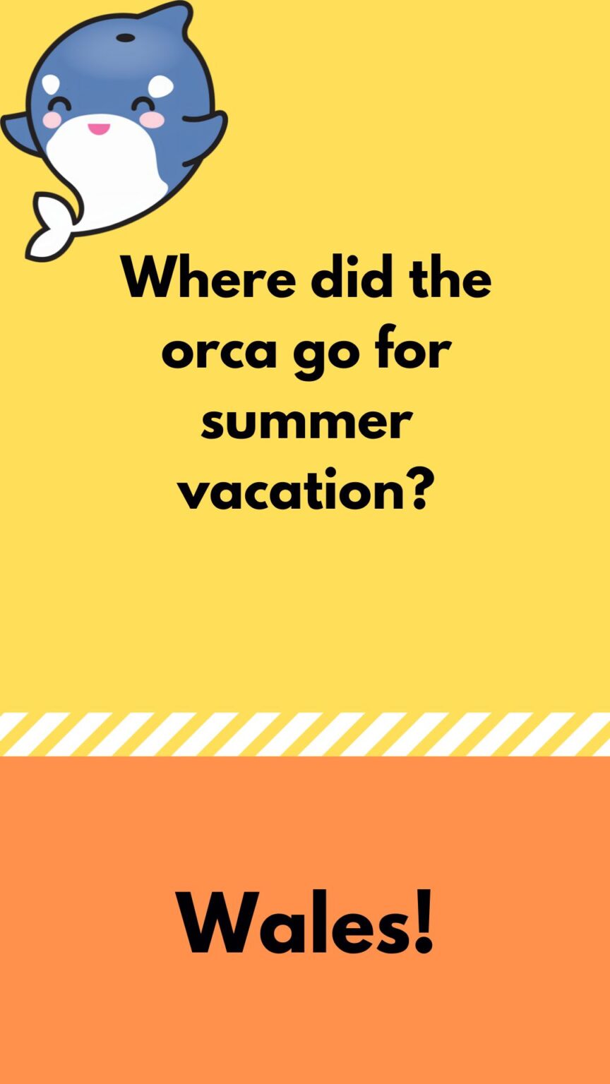 50 Hilarious Spring Jokes For Teens - TheHighSchooler